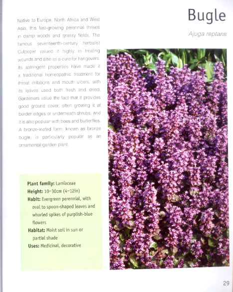 Learning is Fun. GUIDE TO HERBS WITH JOURNAL